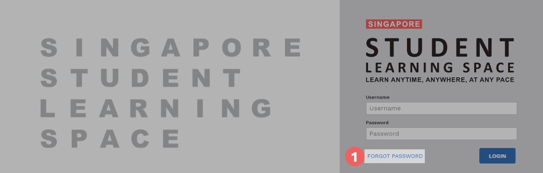 Getting Started with Student Learning Space